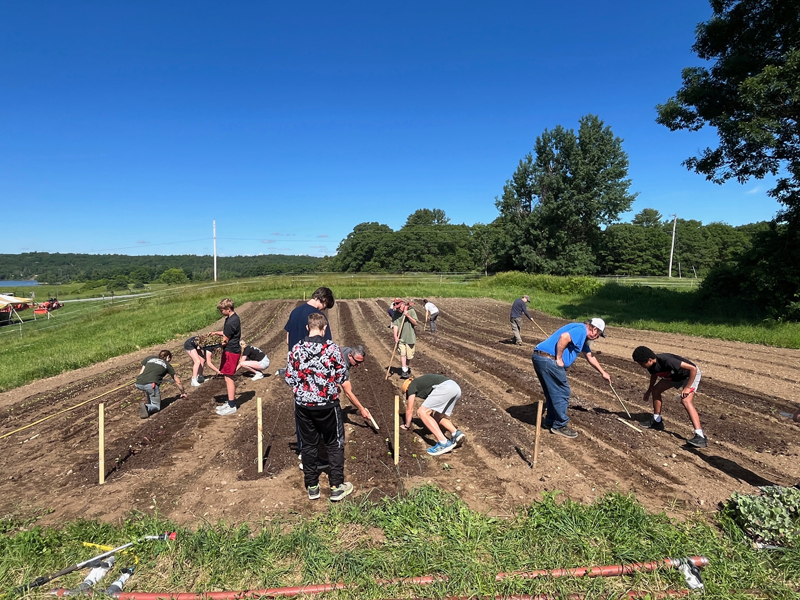 GSB Students Plant 2,700 Crops in One Hour at Twin Villages Foodbank ...